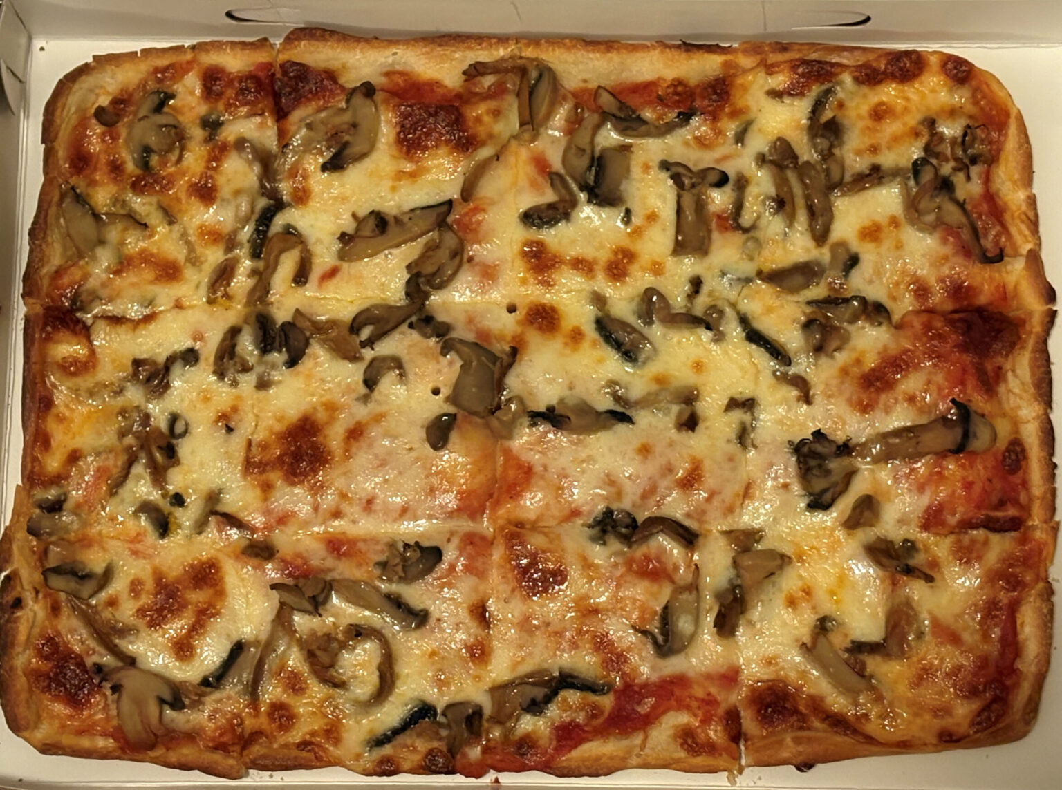 Continental Pizza Review – Maryland-Style Pizza in Kensington, MD